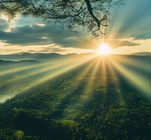 Solar Energy - Solar panels installer - SolarGain